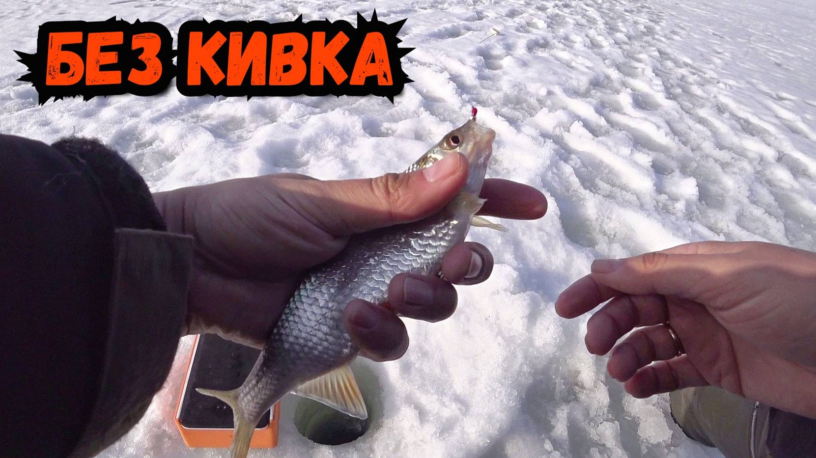 Плотва на безмотылку - зимняя рыбалка с безкивковой удочкой