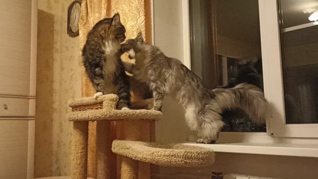 Когда сел на чужое козырное место....