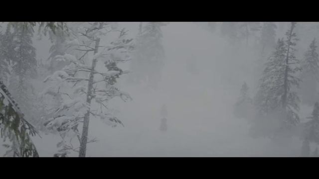 Прохождение игры Red Dead Redemption 2 #1 Почему на праздник, меня не позвали (без комментариев)