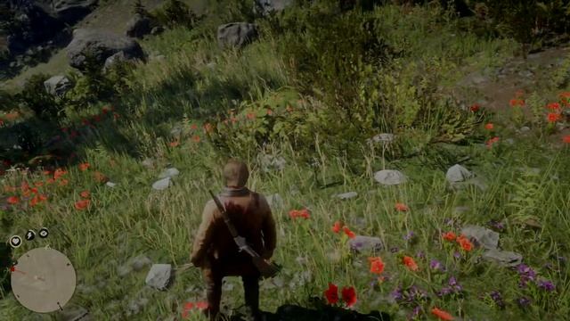 Прохождение игры Red Dead Redemption 2 #7 Привет медведь (без комментариев)