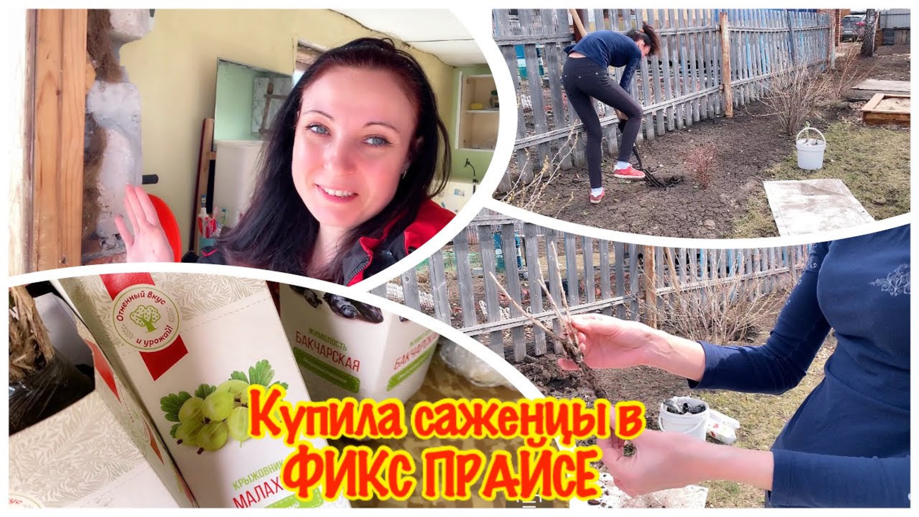 КУПИЛА САЖЕНЦЫ В ФИКС ПРАЙСЕ /ТАКОГО Я НЕ ОЖИДАЛА УВИДЕТЬ/ФИКС ПРАЙС/ВОТ ТЕБЕ И ФИКС ПРАЙС