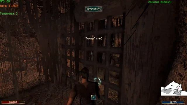 Темная сага | 1