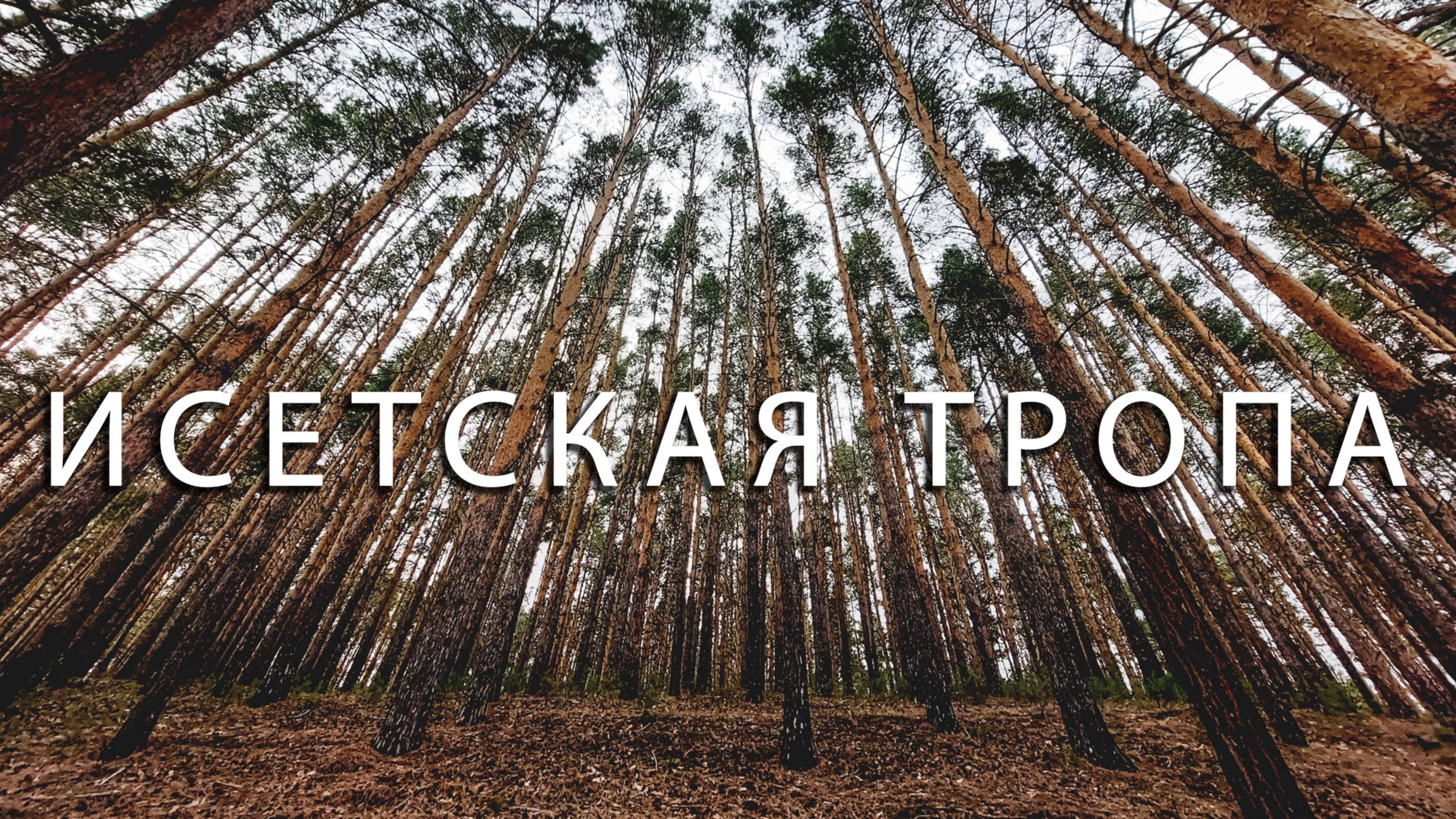 "Исетская тропа" Пеший поход от Екатеринбурга до Каменска-Уральского