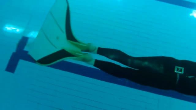 Закрытие сезона 2022-2023г. Тренировка в моноласте движение и разворот в бассейне