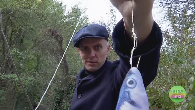 "Мифы и реальность" ТВ-сюжет. Программа "Утро нового дня" (Севастополь, 21 ноября 2024 г.)