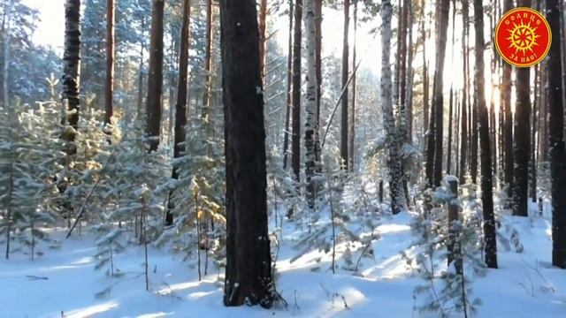ПОХОД В ЛЕС ЗИМОЙ | В ПОИСКАХ ВПЕЧАТЛЕНИЙ | ЗИМНИЙ УРАЛ | ПЕРМСКИЙ КРАЙ | 2020 | часть 2 | ЛЕС