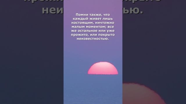 Марк Аврелий. Наедине с собой. Цитаты. #мудрость #философия #книги #цитаты #МаркАврелий #shorts