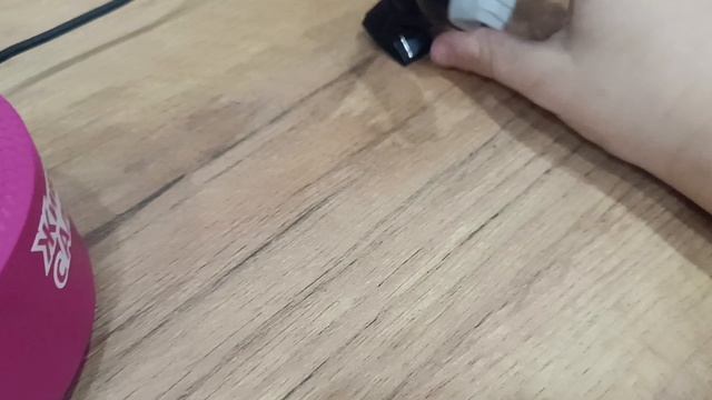 у гориллы есть сестра!!!!!