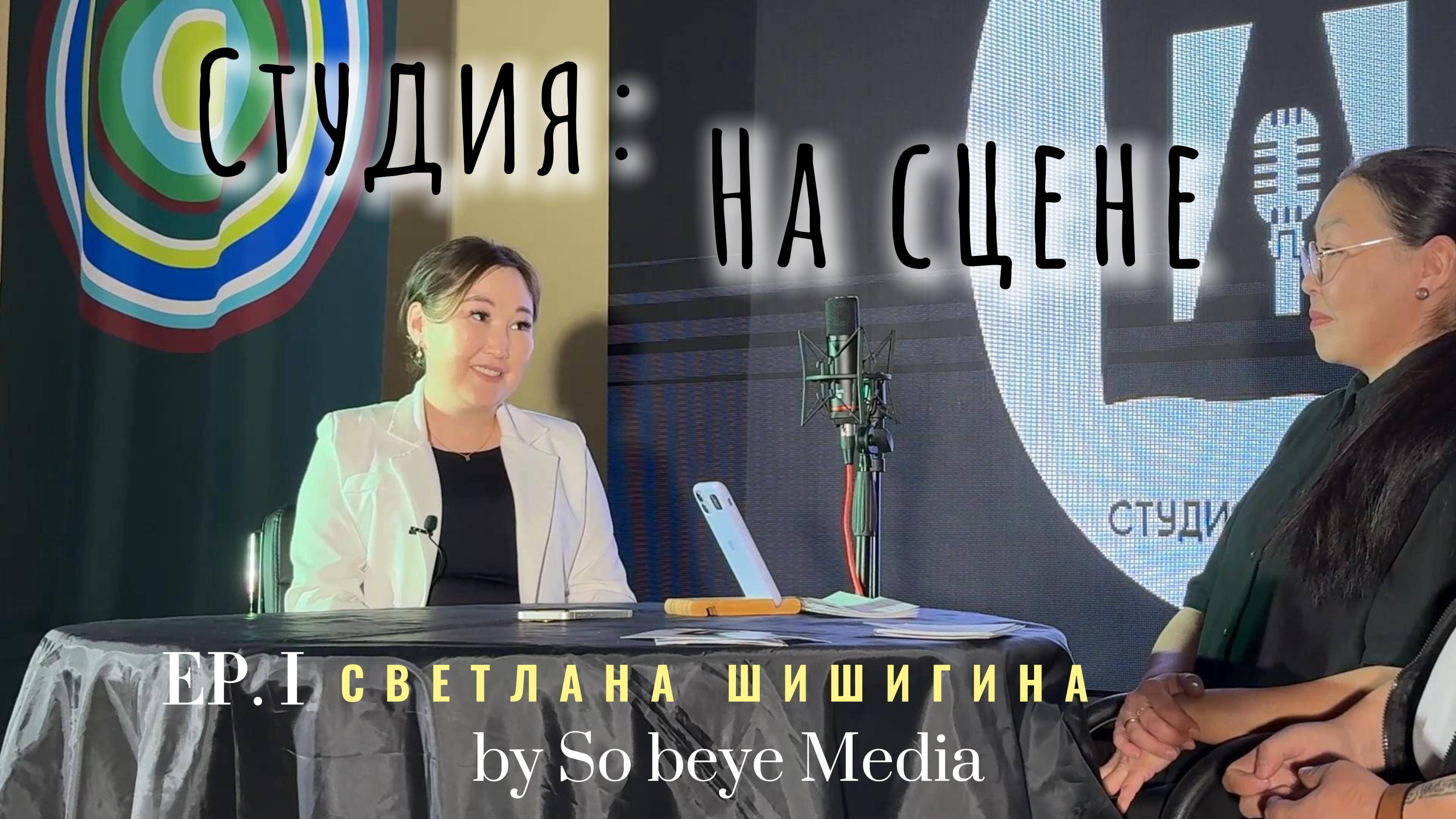 В СТУДИИ : НА СЦЕНЕ - Светлана Шишигина:  "Интернет как бизнес-инструмент"
