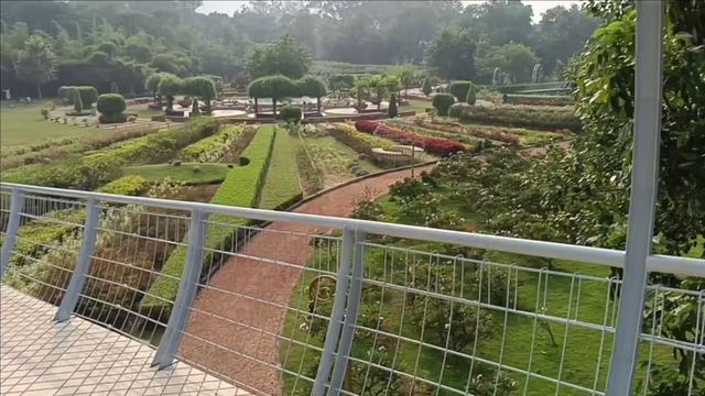 Поездка уважаемого бхикку Кхеманандо по древним буддийским местам в Индии, видео от 20.11.24 г.