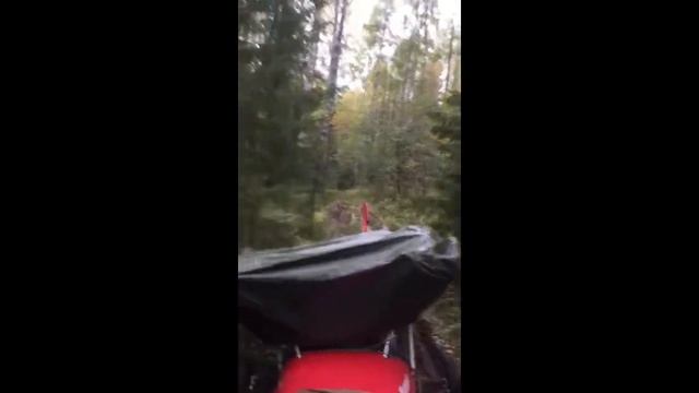 На самолете за грибами!!! Корвет ЧЕ 22