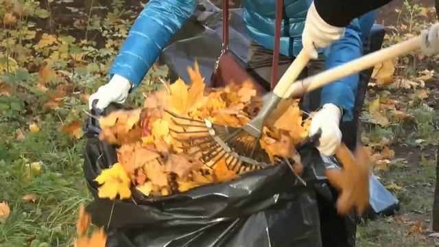 22.10.2024 «КурортИнфо» №1305