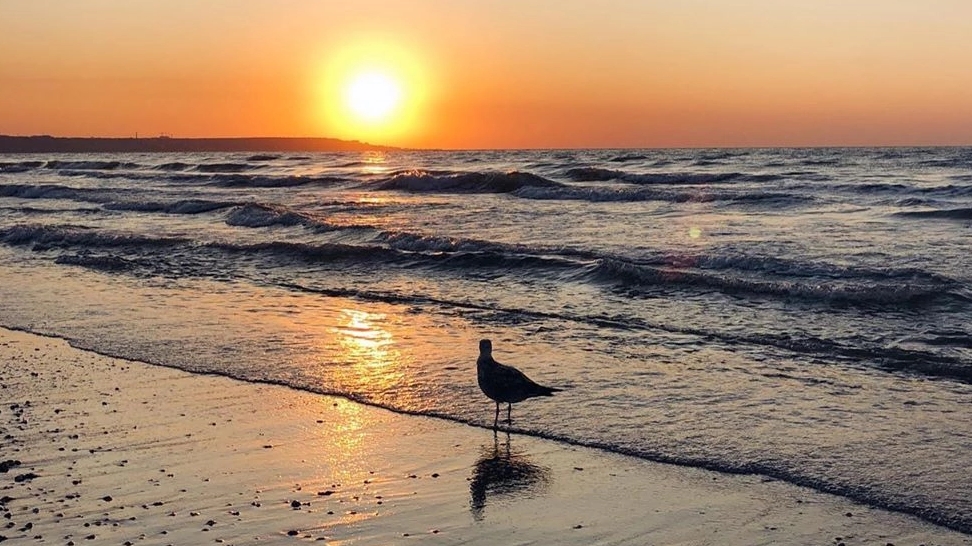 МОЁ СЧАСТЬЕ КАК ЗАГАДКА