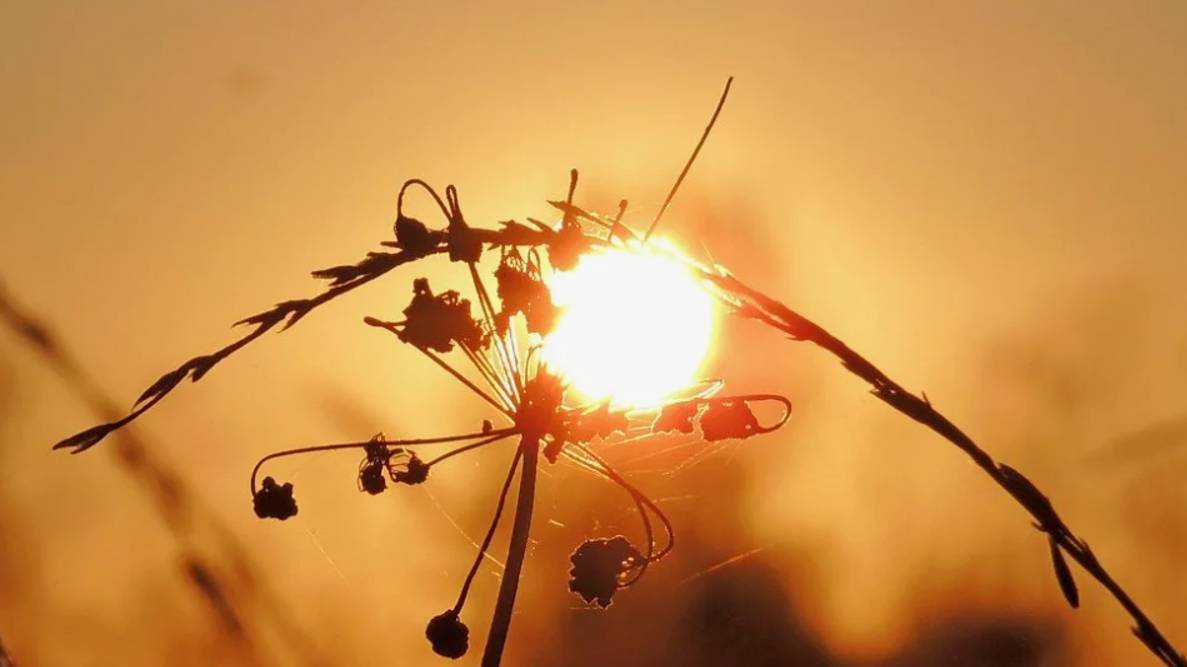 Ничто не вечно