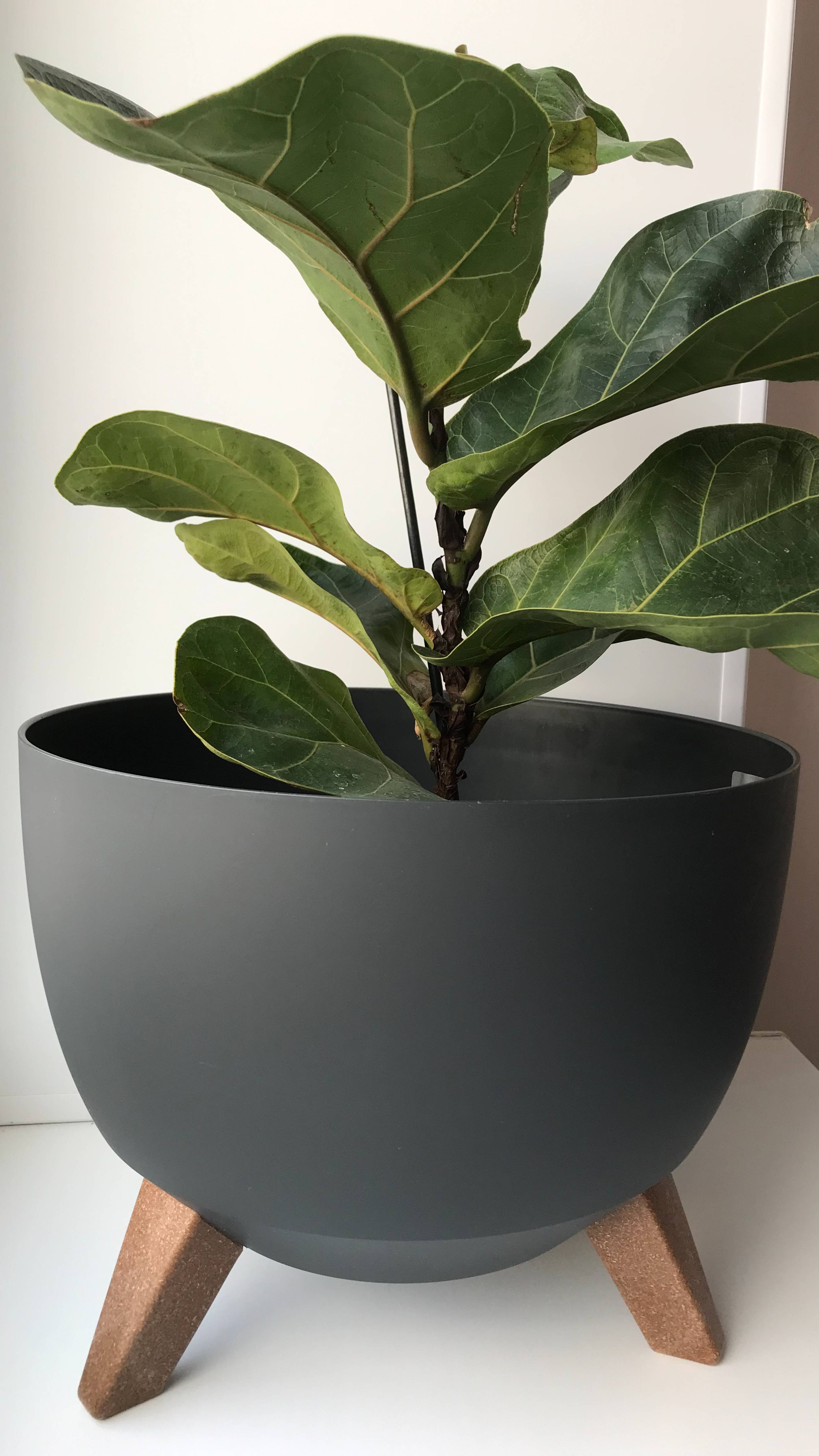 Горшок для цветов 9,4 л цвета антрацит.