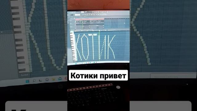 Проект в Фл студио #beats #flstudio #котик #dj #djcat