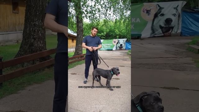 Тестовый день.