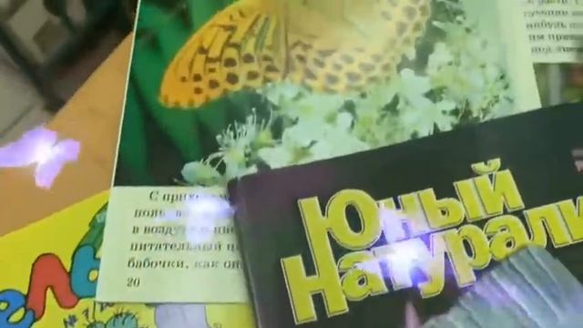 "Радуга на крыльях".Петрова Е.И. Кисловодск