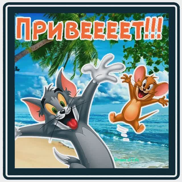 ВИДЕОПРИВЕТ ОТ СУПЕРСАНИ 16.06.2024