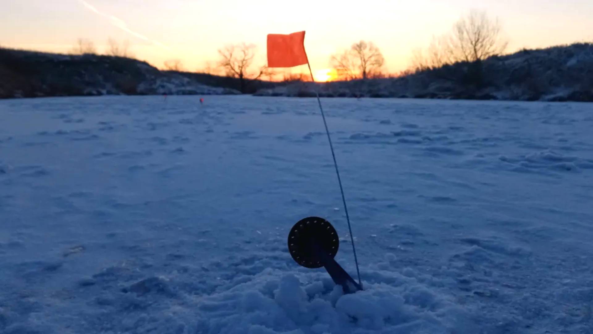 ОСТАВИЛ ЖЕРЛИЦЫ НА НОЧЬ, а утром...