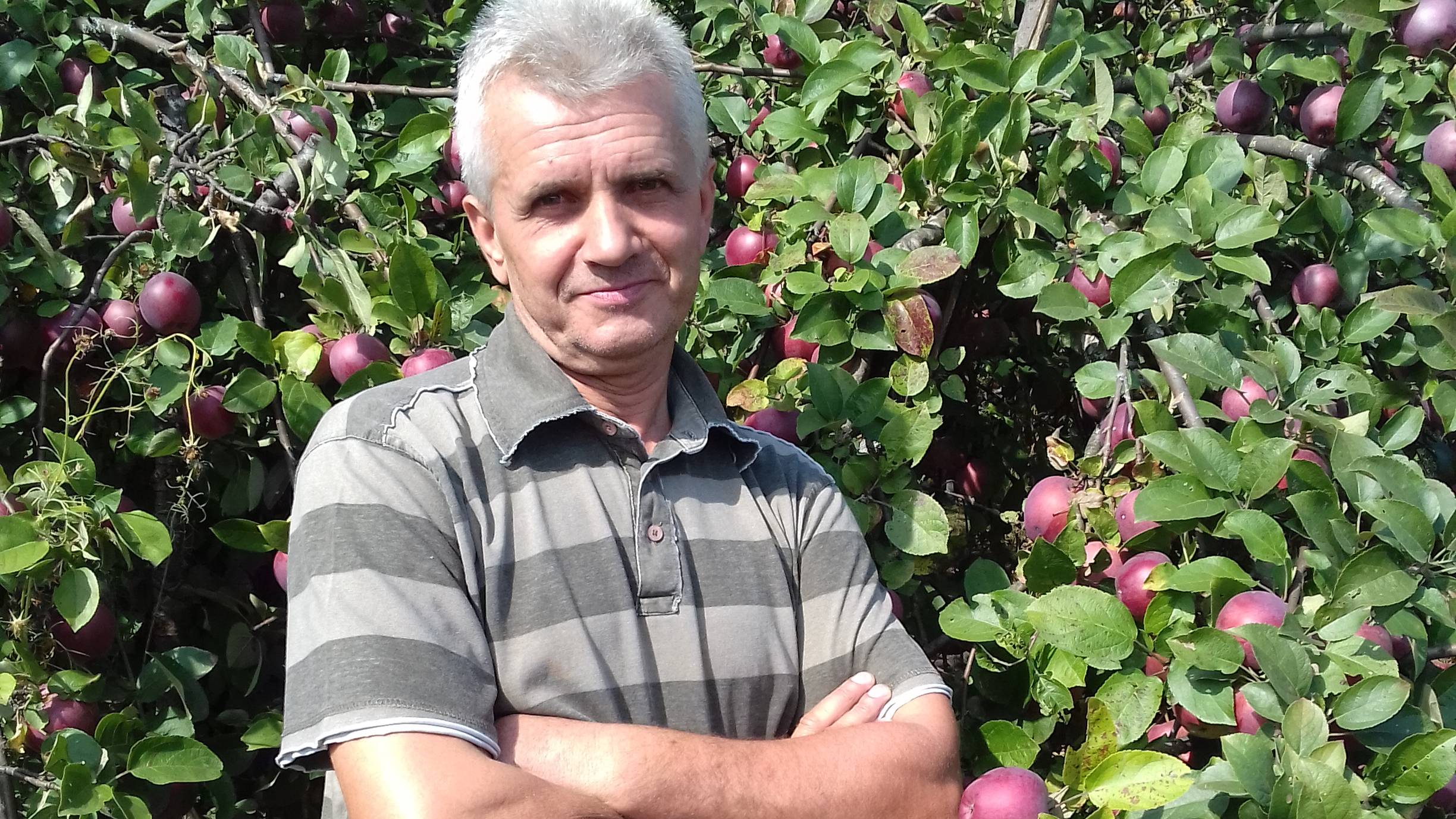 Разборка сверлильного станка ,,ЗУБР 750,, причина. Устранение люфтов ну и добавление смазки .