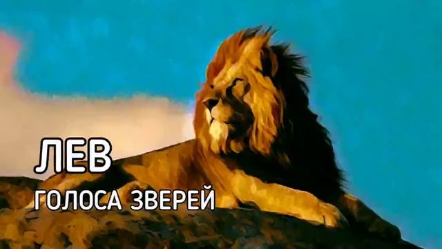 Лев | Голоса зверей