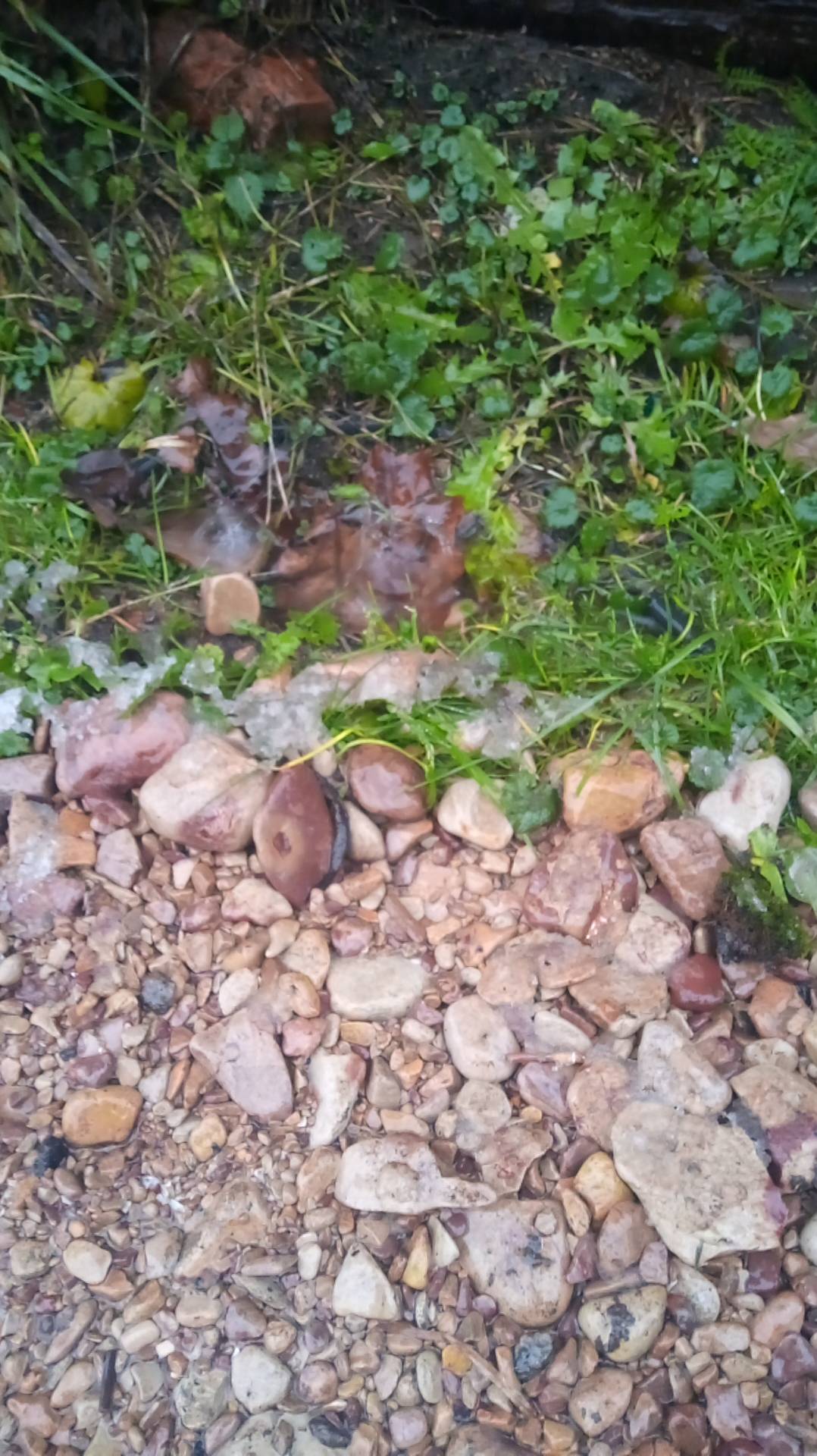 Идут дожди.