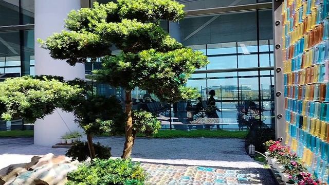 Из Петербурга в Ханой с "Сычуань Эйрлайнс"!Вьетнам!🇻🇳