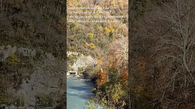 Абхазия. Водопад «Мужские слезы» .Озеро Рица. Дегустация меда. Полет на Зиплайне