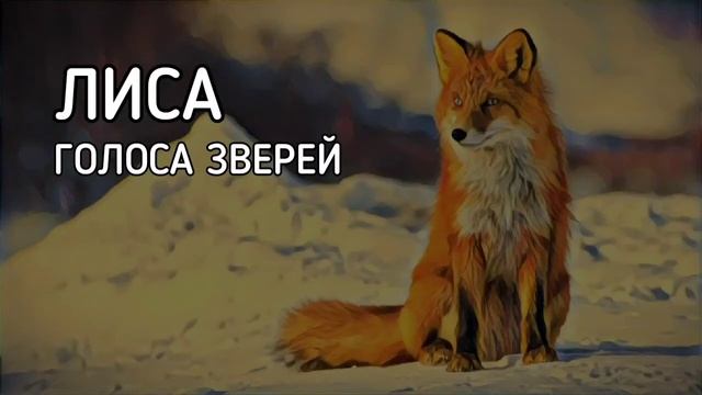 Лиса | Голоса зверей