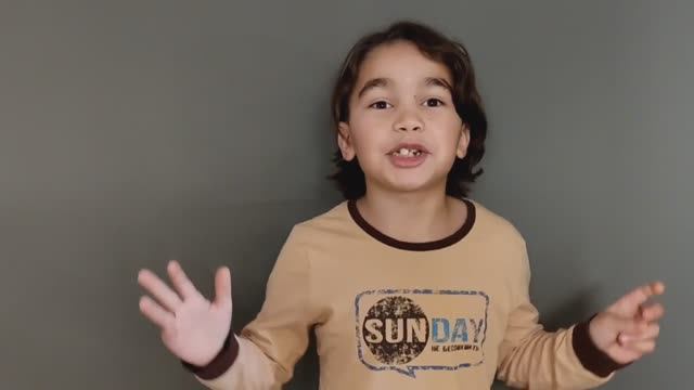 Ахмедов Феликс отзыв о фильме "Возвращение попугая Кеши"