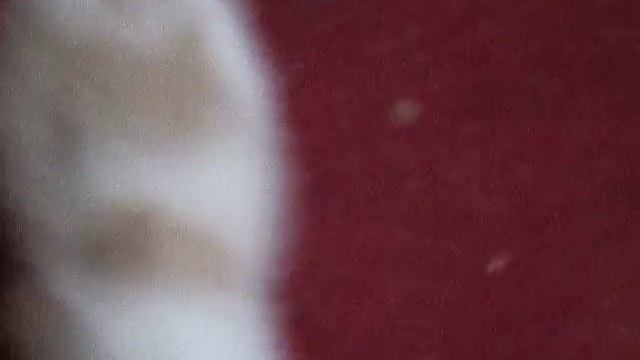 Здесь есть что-то интересное ?