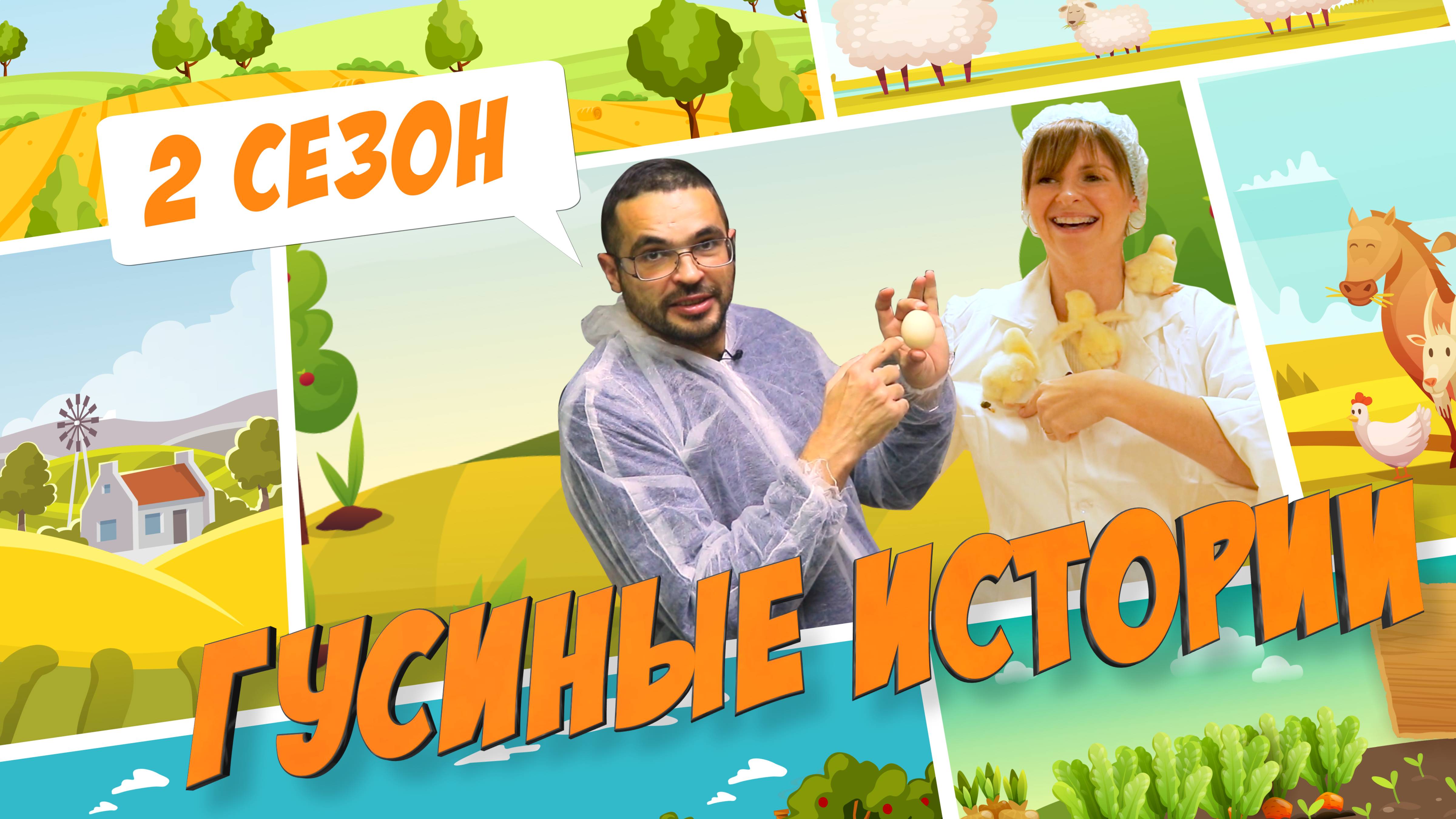 ГУСИНЫЕ ИСТОРИИ \\ Цыплята из инкубатора. Как выращивают птицу на Кубани