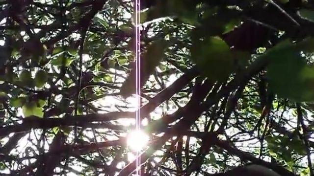 2014 05 14 15 58 38  Утреннее