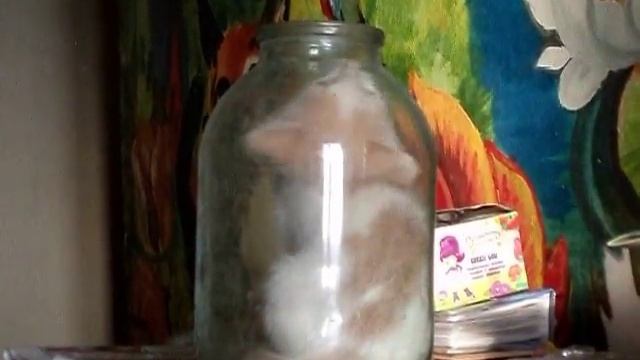 Гена в банке