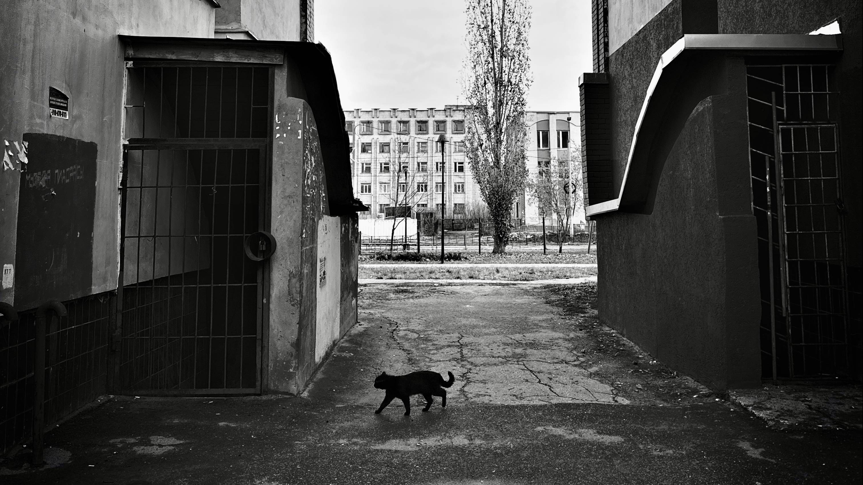 Jazz-Foto Club - "Уличная жизнь" (20.11.2024)