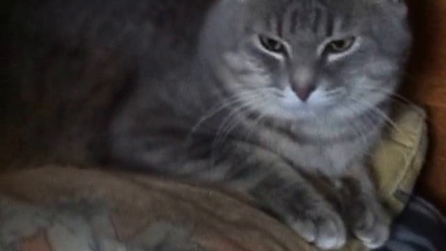 Серьёзный Аватар