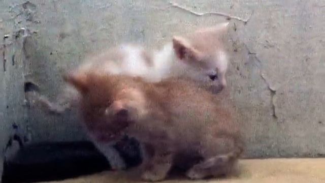 Спрыгнуть или подождать ?