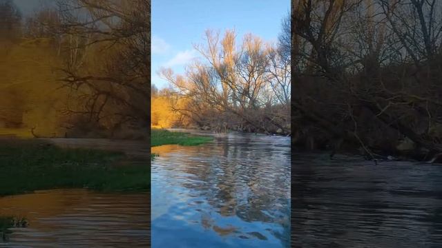 Сплав по реке Чернь. #сплав #байдарки #водники #чернь #природа