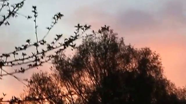 2014 05 13 05 04 50  Вечернее