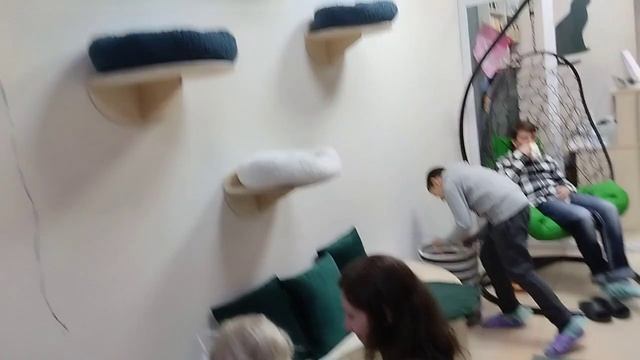 2.04.2023 Поход в котокафе с друзьями