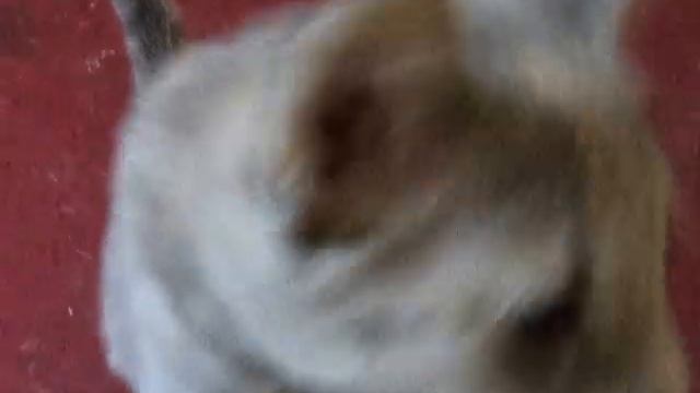 Дашь чего-нибудь вкусное ?