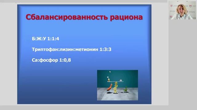 Лекция 1.6. Питание как фактор сохранения и укрепления здоровья