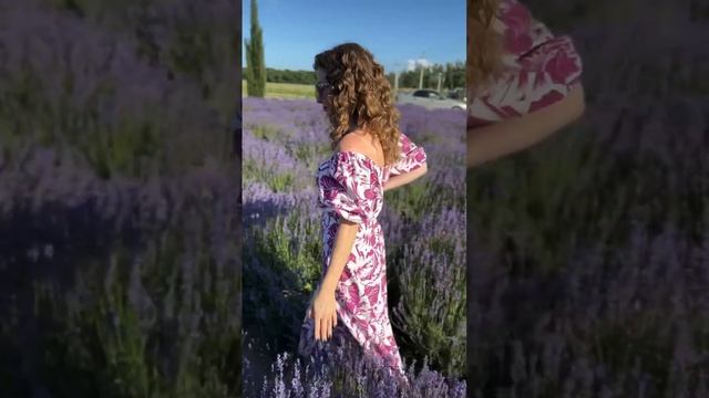 Прекрасные дни лета 2024