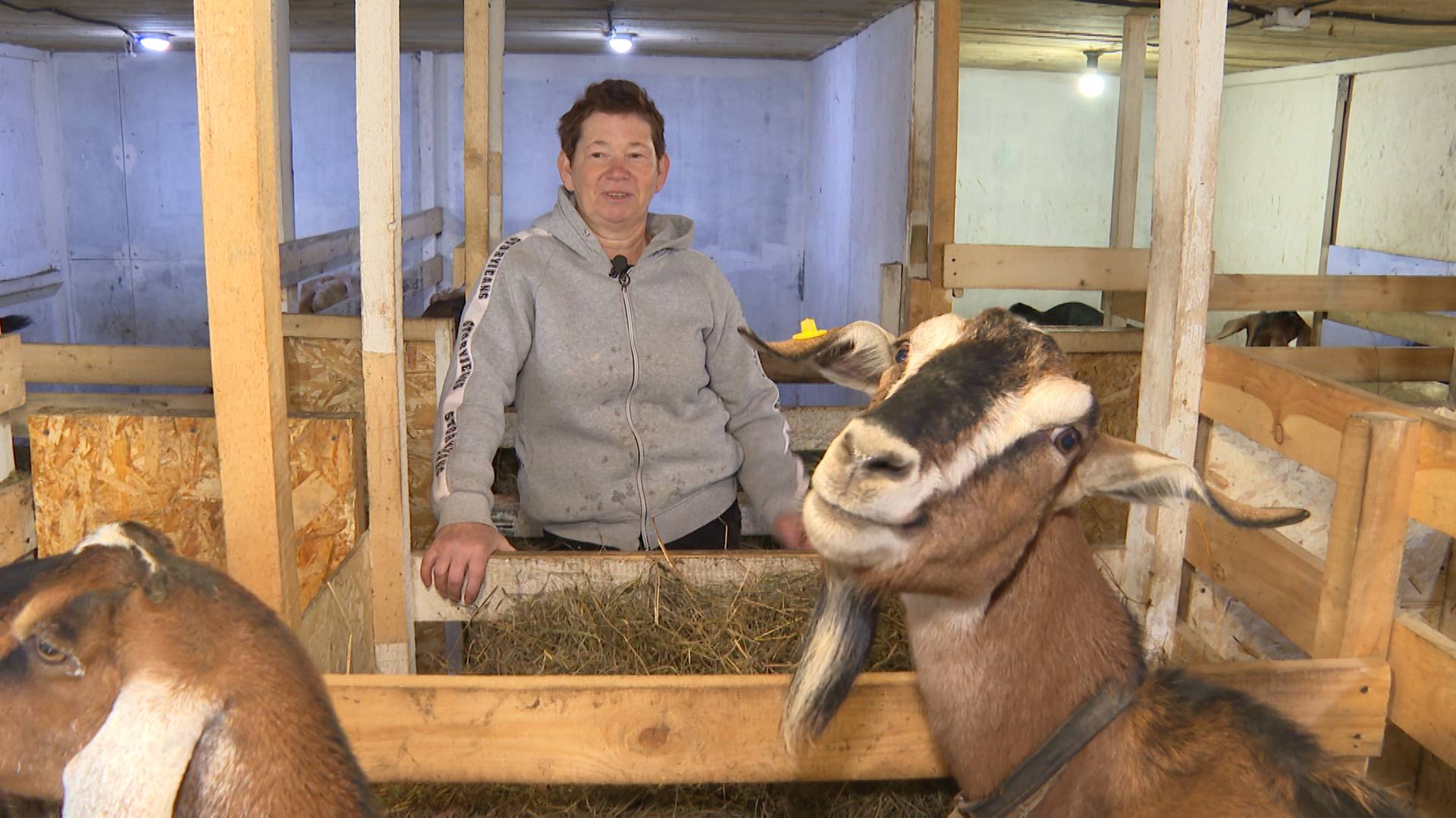 Олӧм-вылӧм. Фермер, сыровар Татьяна Морозова