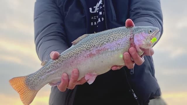 |Рыбалка в Подмосковье 2021| Ловля форели осень 2021| Загородный клуб FISHERIX| Рыбалка на платнике|