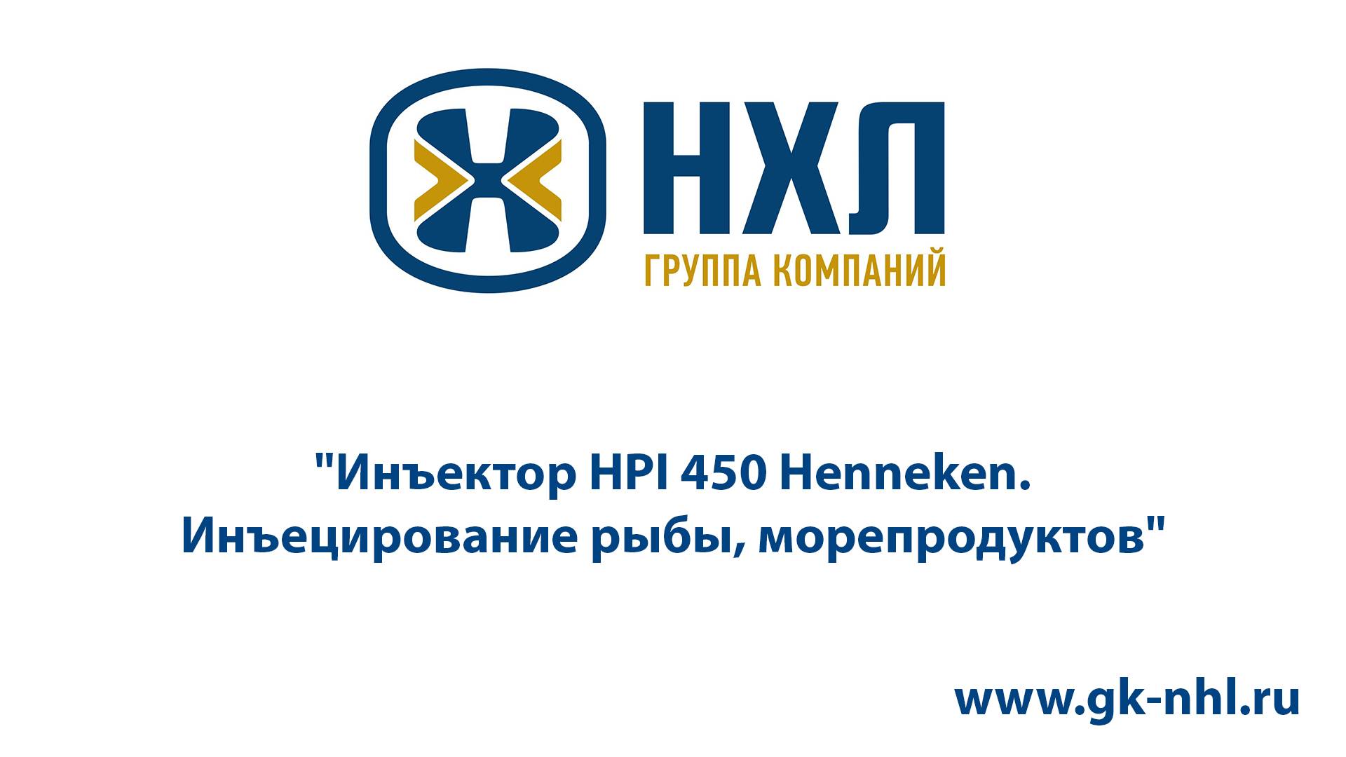 Инъектор HPI 450 Henneken.  Инъецирование рыбы, морепродуктов