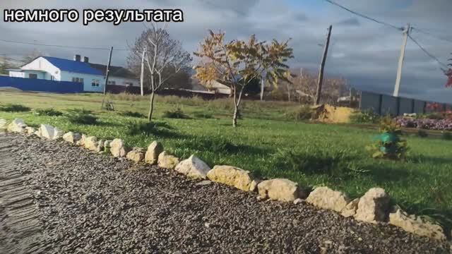 Как снять опыл с лакокрасочного покрытия (ЛКП) автомобиля