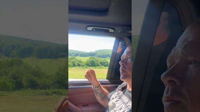 Своим друзьям