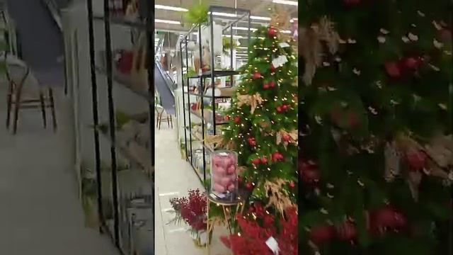 Выходные ноябрь 2024, ёлочки, морозики